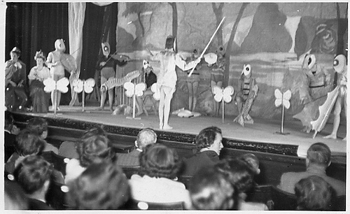 The Insect Orchestra